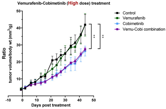In Vitro and In Vivo Drug-Response Profiling Using Patient-Derived High ...