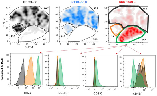 In Vitro and In Vivo Drug-Response Profiling Using Patient-Derived High ...