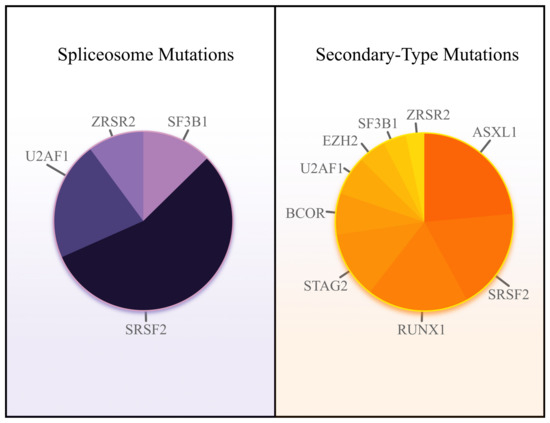 Cancers | Free Full-Text | Secondary-Type Mutations in Acute Myeloid ...