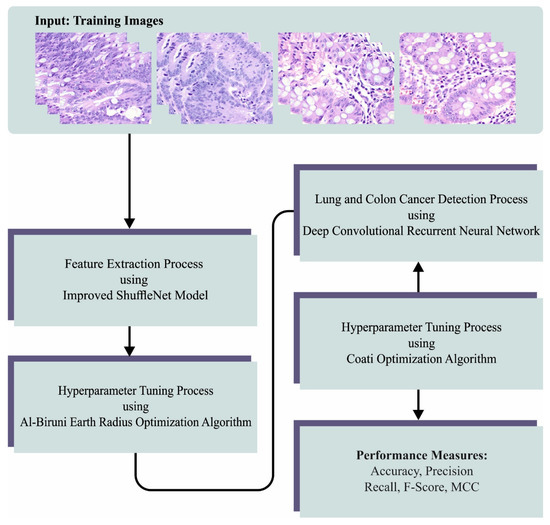 Al-Biruni Earth Radius Optimization with Transfer Learning Based Histopathological Image ...
