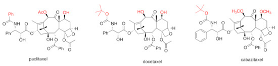 Crosstalk between Microtubule Stabilizing Agents and Prostate Cancer