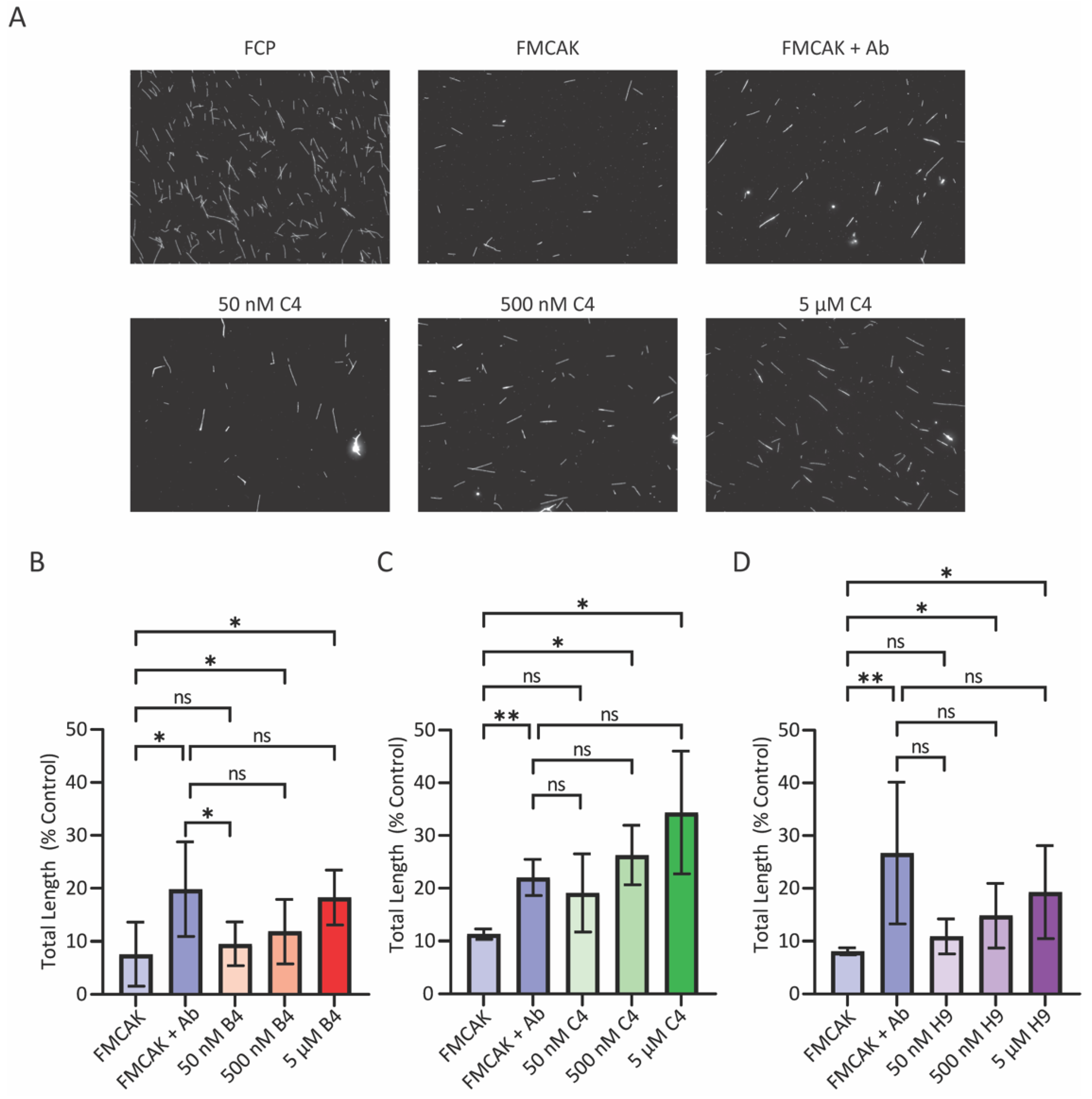 MCAK Inhibitors Induce Aneuploidy in Triple-Negative Breast Cancer Models