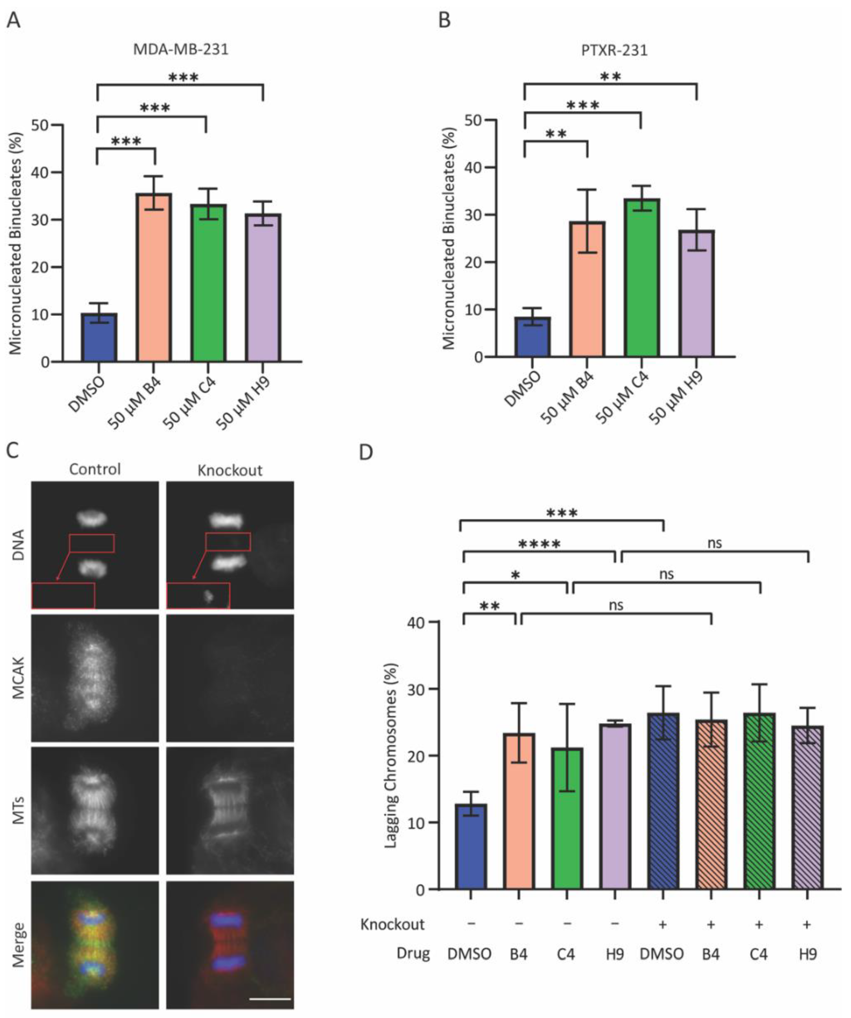 MCAK Inhibitors Induce Aneuploidy in Triple-Negative Breast Cancer Models