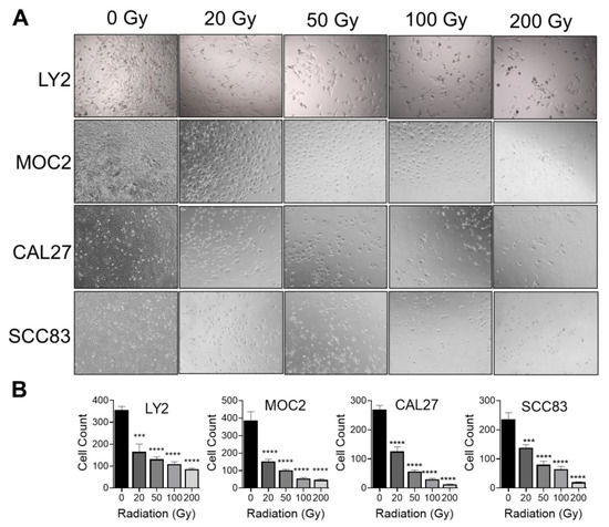 Ionizing Radiation Reduces Head and Neck Squamous Cell Carcinoma Cell ...