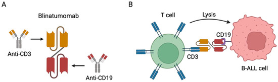 Acute Lymphoblastic Leukemia Immunotherapy Treatment: Now, Next, and Beyond