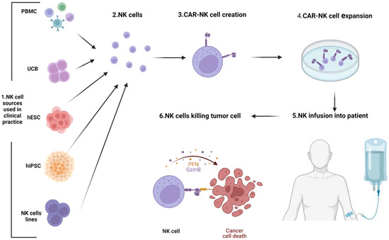 Acute Lymphoblastic Leukemia Immunotherapy Treatment: Now, Next, and Beyond