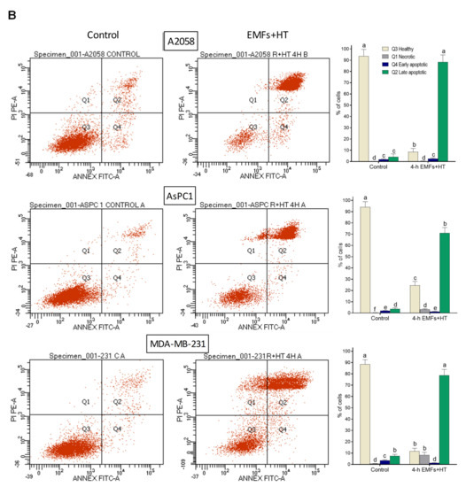 Cancers | Free Full-Text | Externally Applied Electromagnetic Fields ...