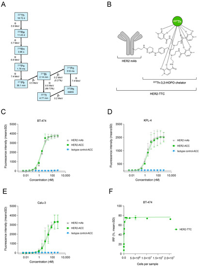 Efficacy of a HER2-Targeted Thorium-227 Conjugate in a HER2-Positive ...