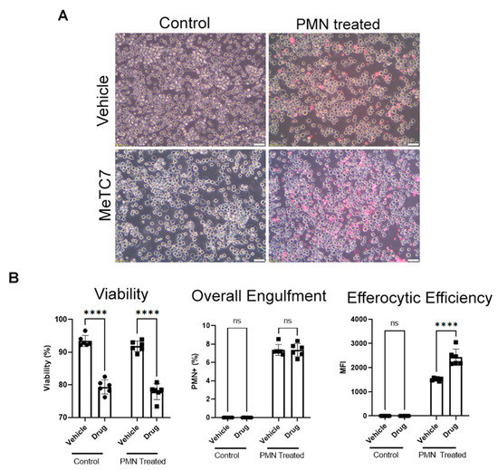Vitamin D Receptor Antagonist MeTC7 Inhibits PD-L1