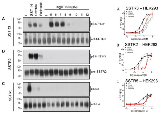 Identification of a Novel SSTR3 Full Agonist for the Treatment of ...