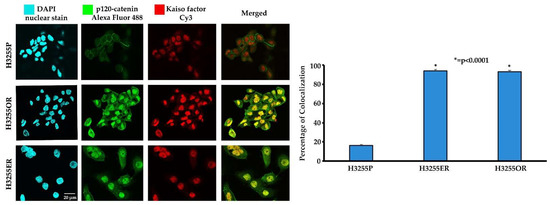 PRMT-1 and p120-Catenin as EMT Mediators in Osimertinib Resistance in NSCLC