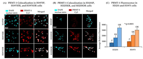 PRMT-1 and p120-Catenin as EMT Mediators in Osimertinib Resistance in NSCLC