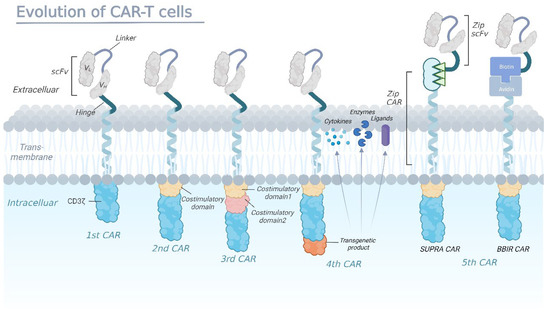 Fine-Tuning through Generations: Advances in Structure and Production ...