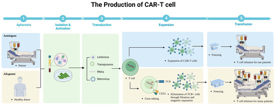 Cancers | Free Full-Text | Fine-Tuning through Generations: Advances in Structure and Production ...