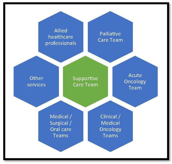 Specialist Palliative Care for Patients with Cancer: More Than End-of ...