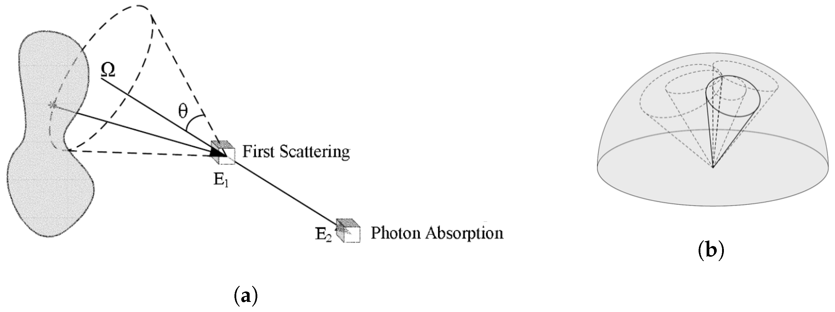 Study of Alternative Imaging Methods for In Vivo Boron Neutron Capture ...