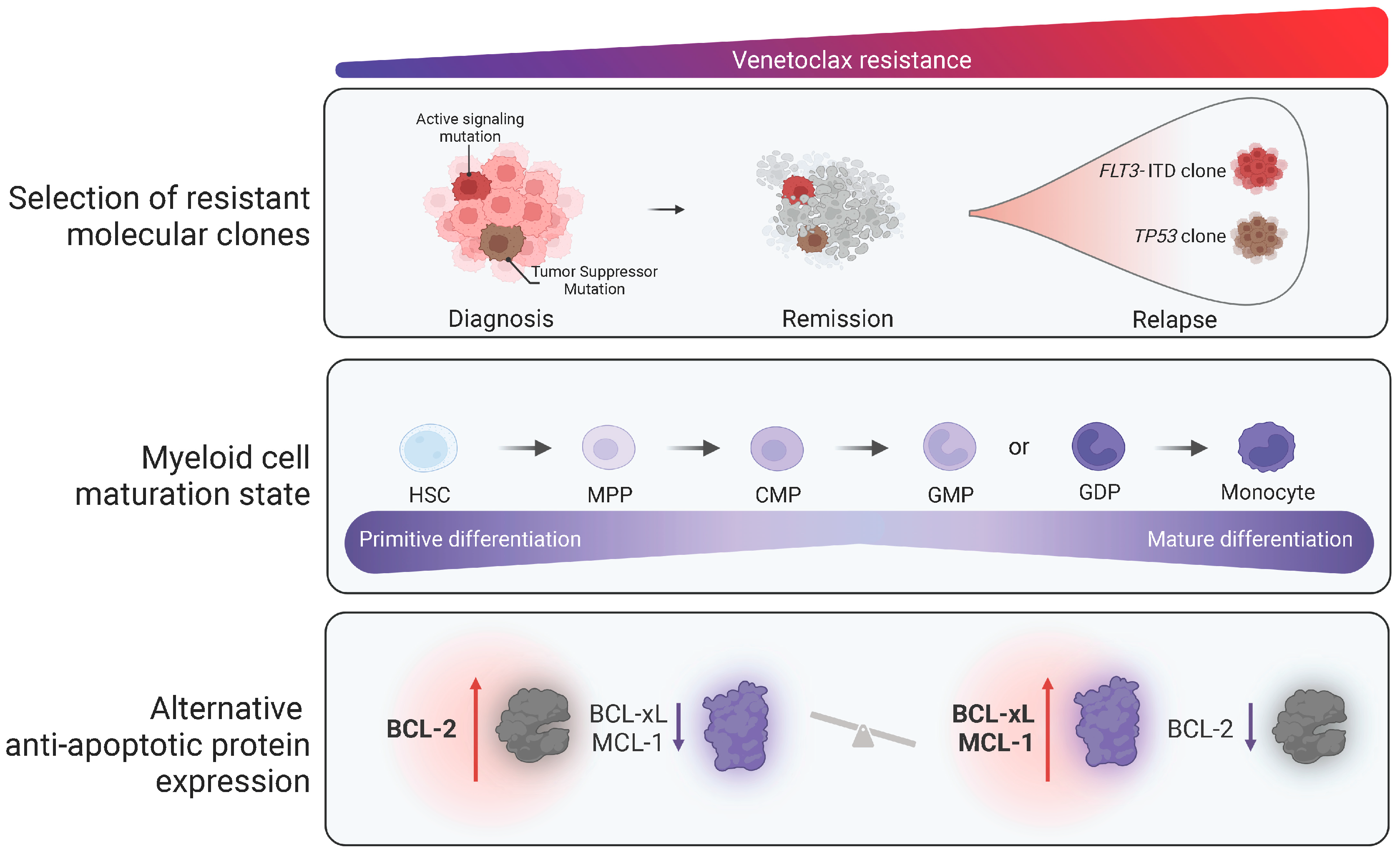 Building on Foundations: Venetoclax-Based Combinations in the Treatment of Acute Myeloid Leukemia