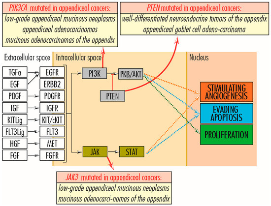 Landscape of Genetic Mutations in Appendiceal Cancers