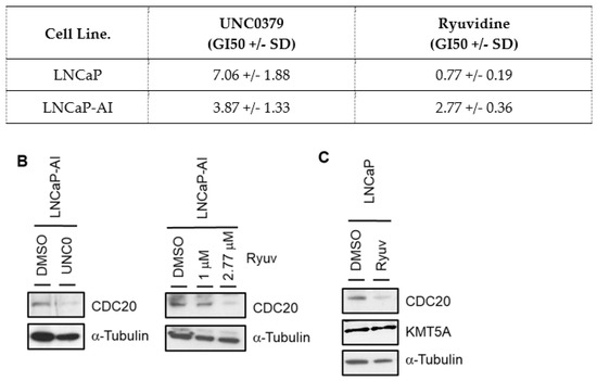 CDC20 Is Regulated by the Histone Methyltransferase, KMT5A, in ...