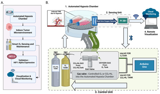 Development of a Smart Portable Hypoxic Chamber with Accurate Sensing ...