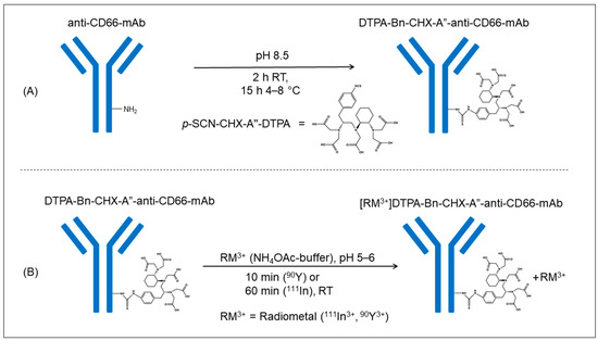 Cancers | Free Full-Text | Optimization of Radiolabeling of a [90Y]Y ...