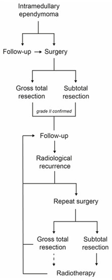 Long-Term Outcomes after Incomplete Resection of Intramedullary Grade ...