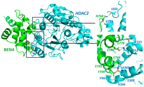 Role of Transcription Factor BEND3 and Its Potential Effect on Cancer Progression
