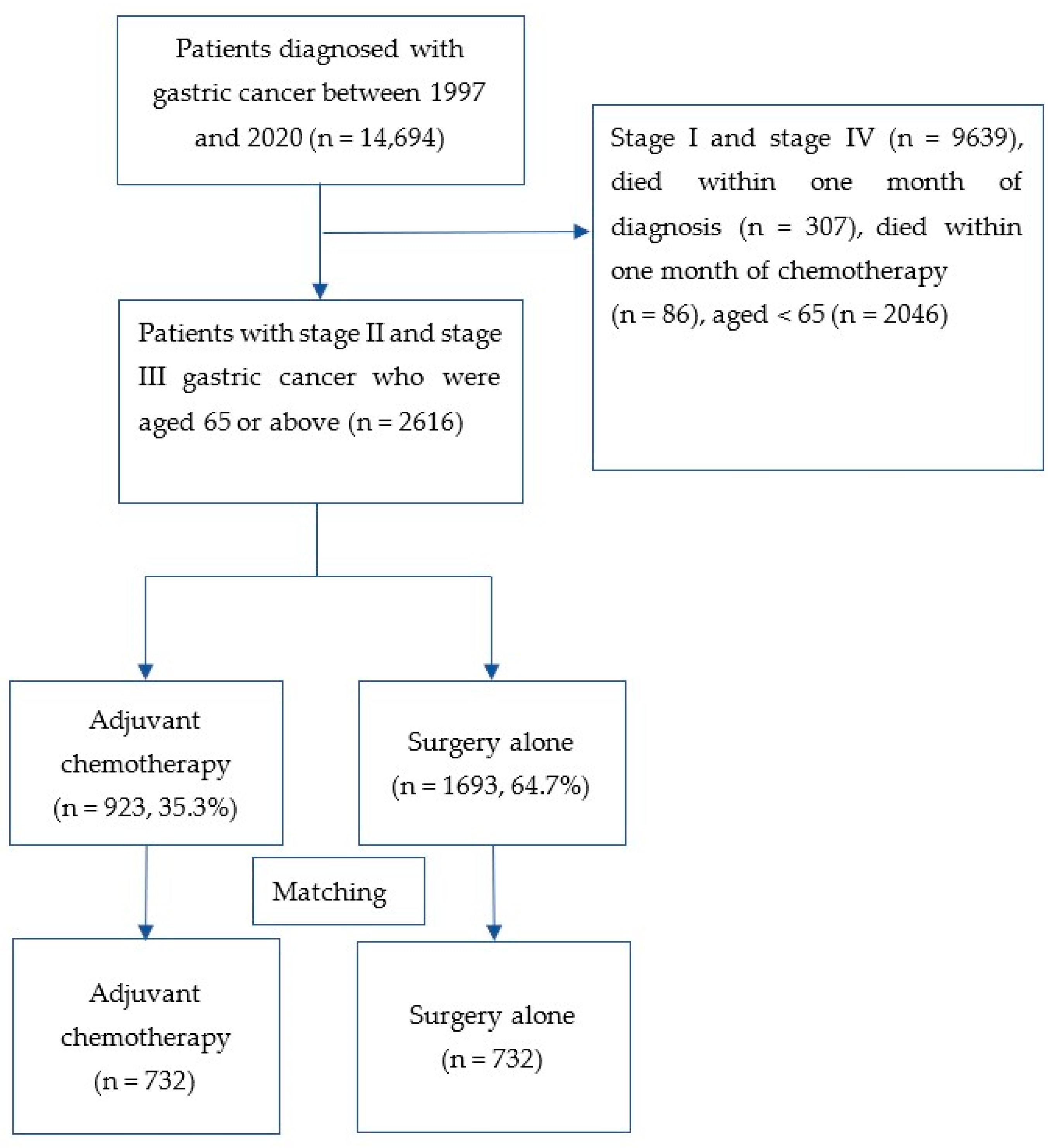 Adjuvant Chemotherapy in Older Patients with Gastric Cancer: A ...