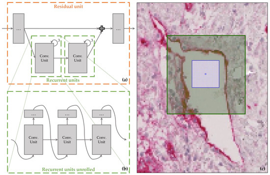Vessel Delineation Using U-Net: A Sparse Labeled Deep Learning Approach for Semantic ...