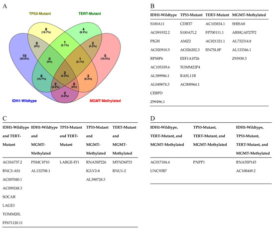 Extracellular-Vesicle-Based Cancer Panels Diagnose Glioblastomas with ...