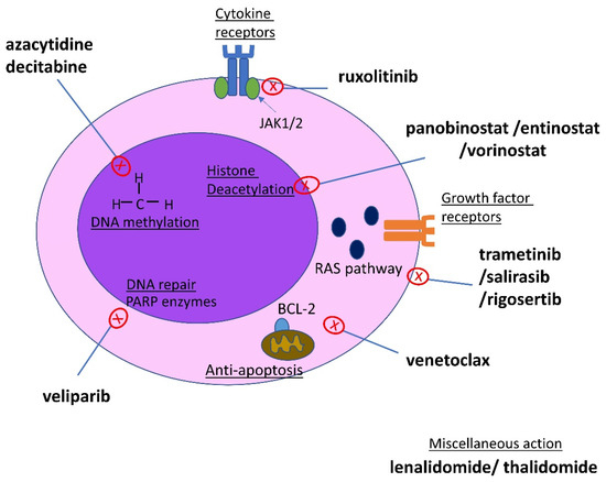 Definitions, Biology, and Current Therapeutic Landscape of ...