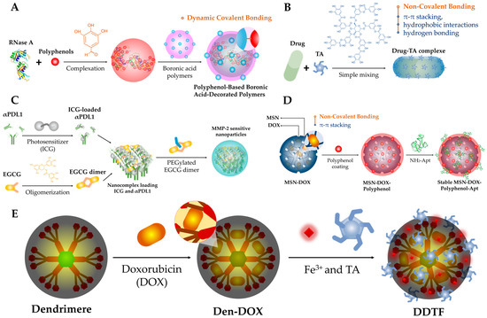 Cancers | Free Full-Text | Polyphenol-Based Nanoparticles: A Promising Frontier for Enhanced ...