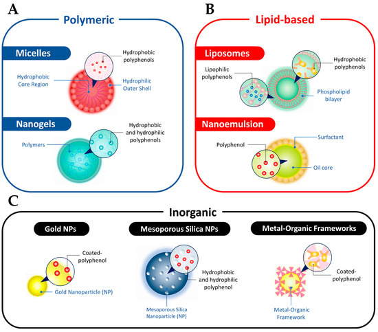 Cancers | Free Full-Text | Polyphenol-Based Nanoparticles: A Promising Frontier for Enhanced ...