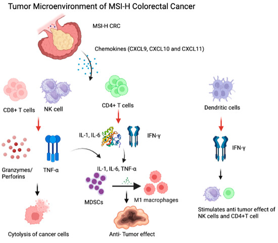 Neoadjuvant Immunotherapy for Patients with dMMR/MSI-High ...