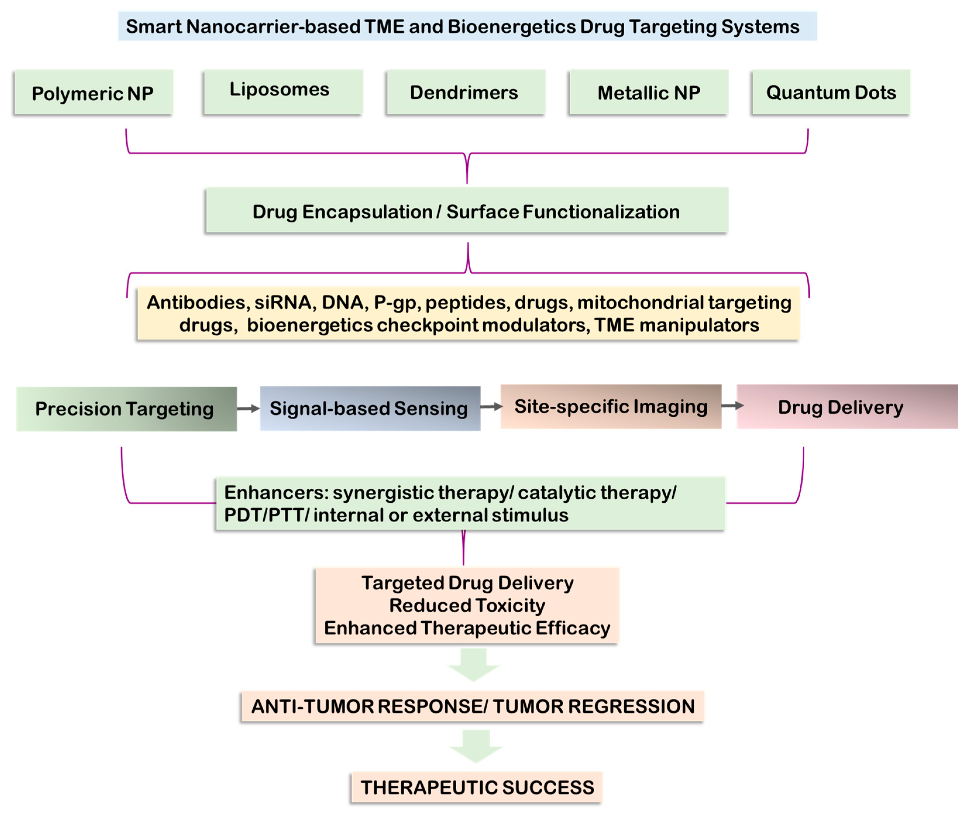 Cancers | Free Full-Text | Cancer Bioenergetics and Tumor ...