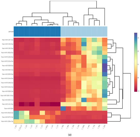 Integrative Transcriptomic Profiling of the Wilms Tumor