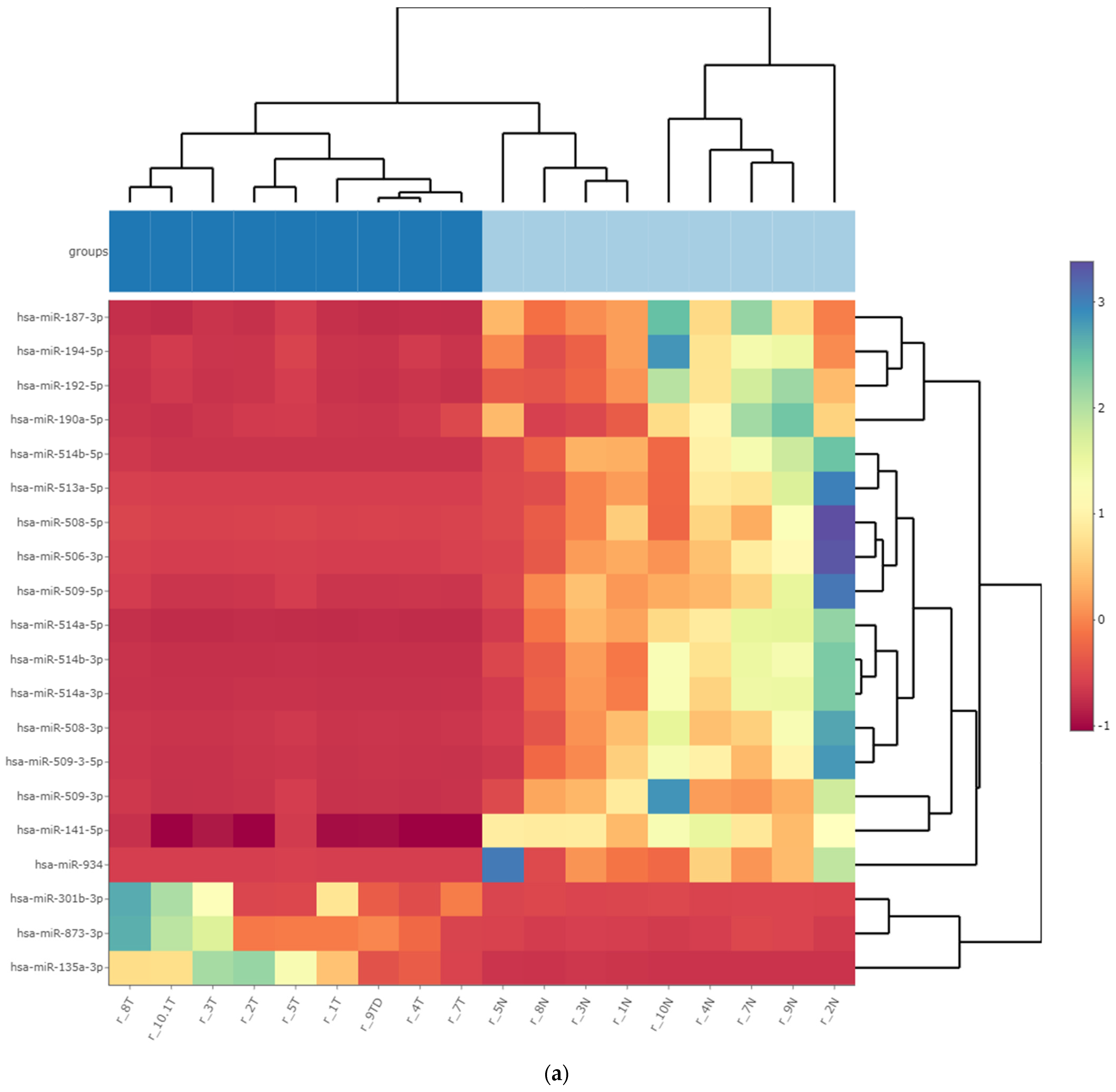 Integrative Transcriptomic Profiling of the Wilms Tumor