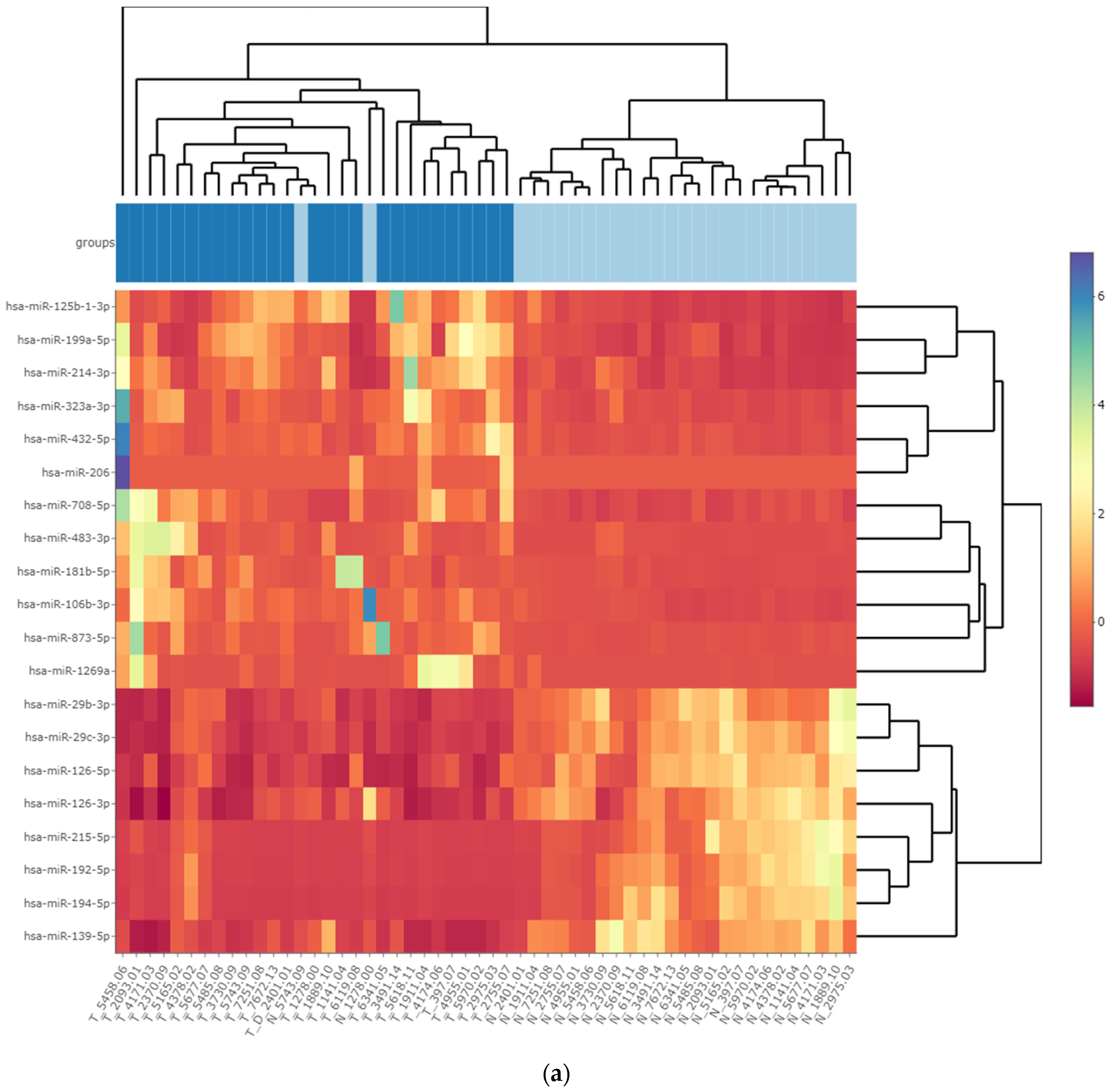 Integrative Transcriptomic Profiling of the Wilms Tumor