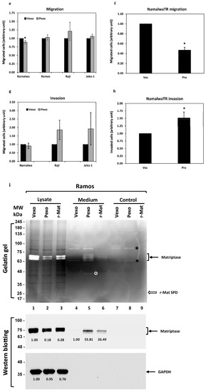 Cancers | Free Full-Text | Exosome-Mediated Activation of the Prostasin ...