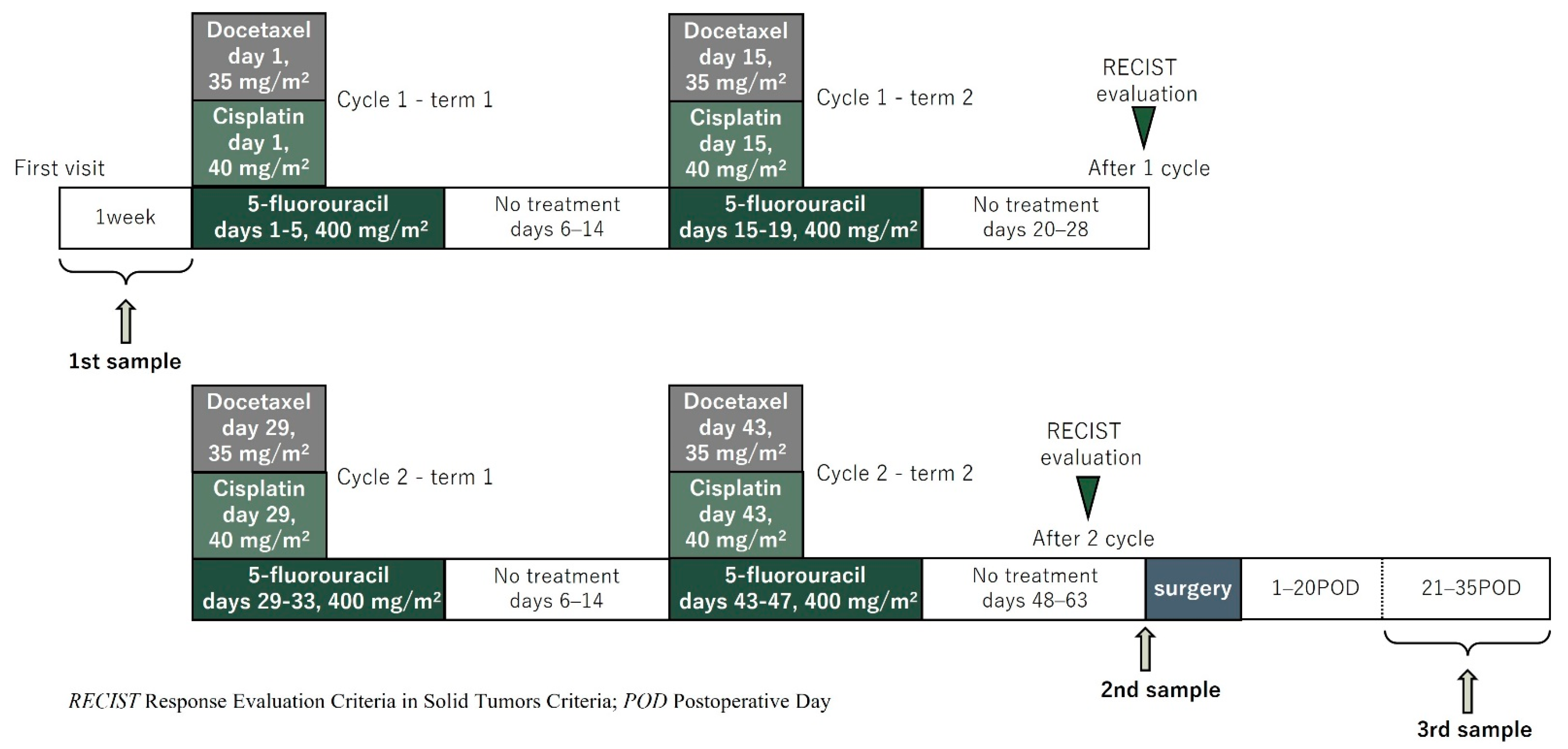 Cancers | Free Full-Text | Clinical Possibility of Caenorhabditis ...