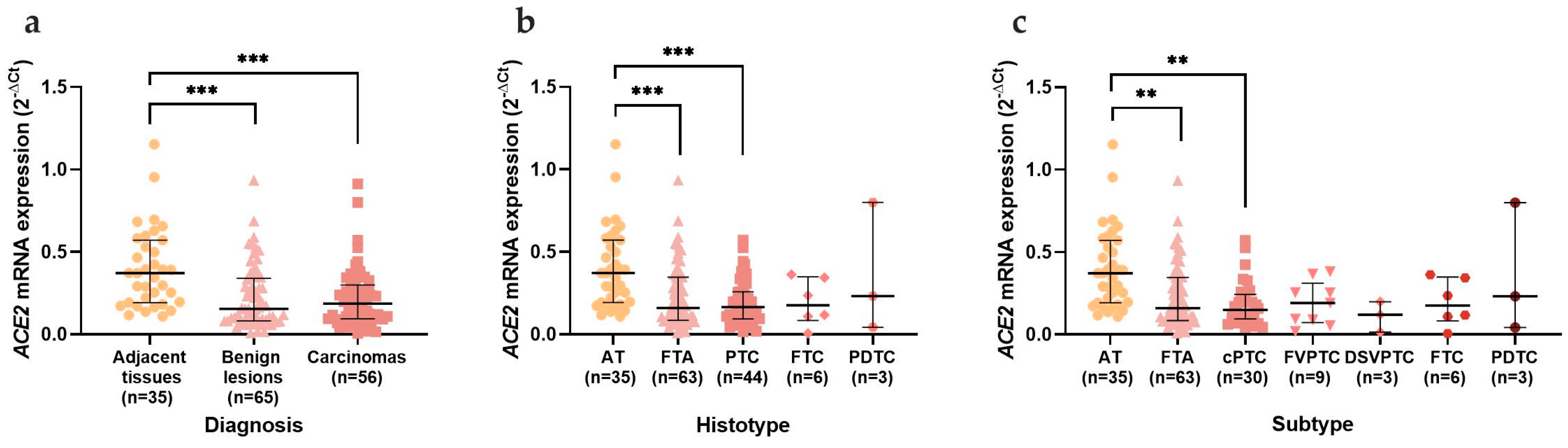Cancers | Free Full-Text | Significance of Furin Expression in Thyroid ...