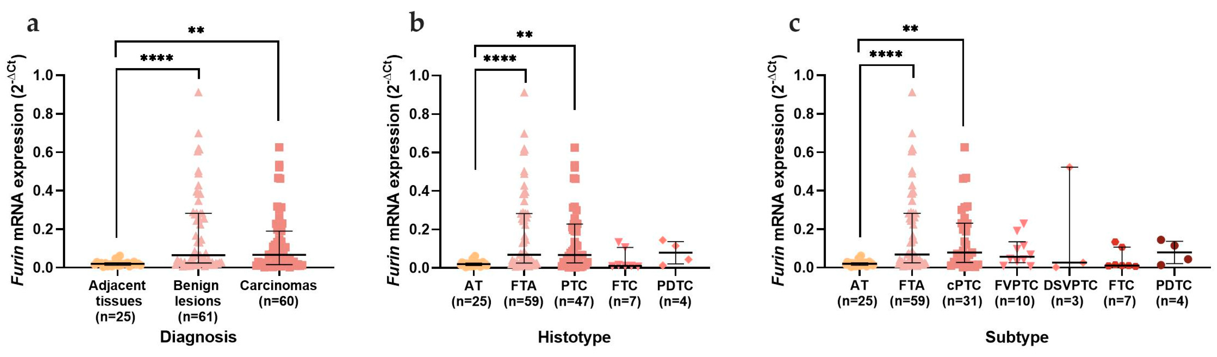 Cancers | Free Full-Text | Significance of Furin Expression in Thyroid ...