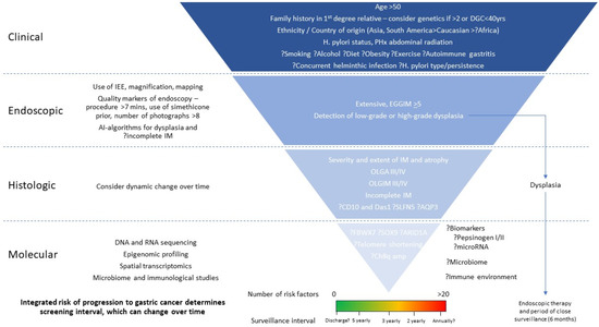 Gastric Intestinal Metaplasia: Challenges and the Opportunity for ...