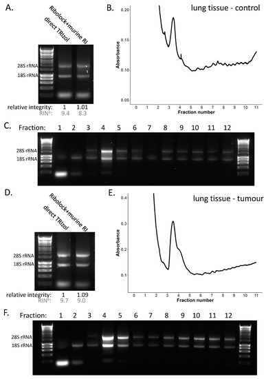 Optimisation of Sample Preparation from Primary Mouse Tissue to ...
