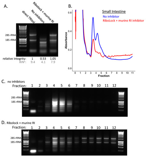 Optimisation of Sample Preparation from Primary Mouse Tissue to ...
