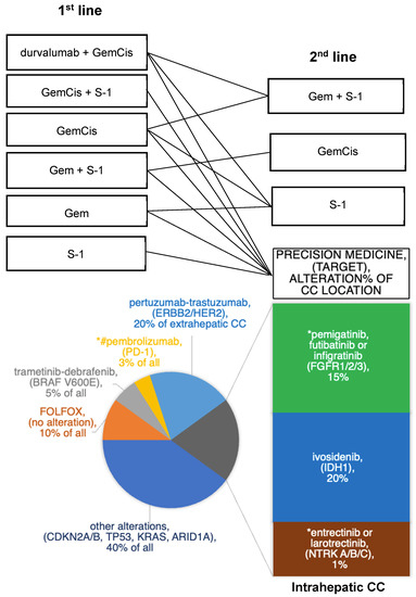 New Era of Immune-Based Therapy in Intrahepatic Cholangiocarcinoma