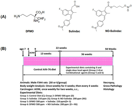 Chemoprevention of Colon Cancer by DFMO, Sulindac, and NO-Sulindac ...