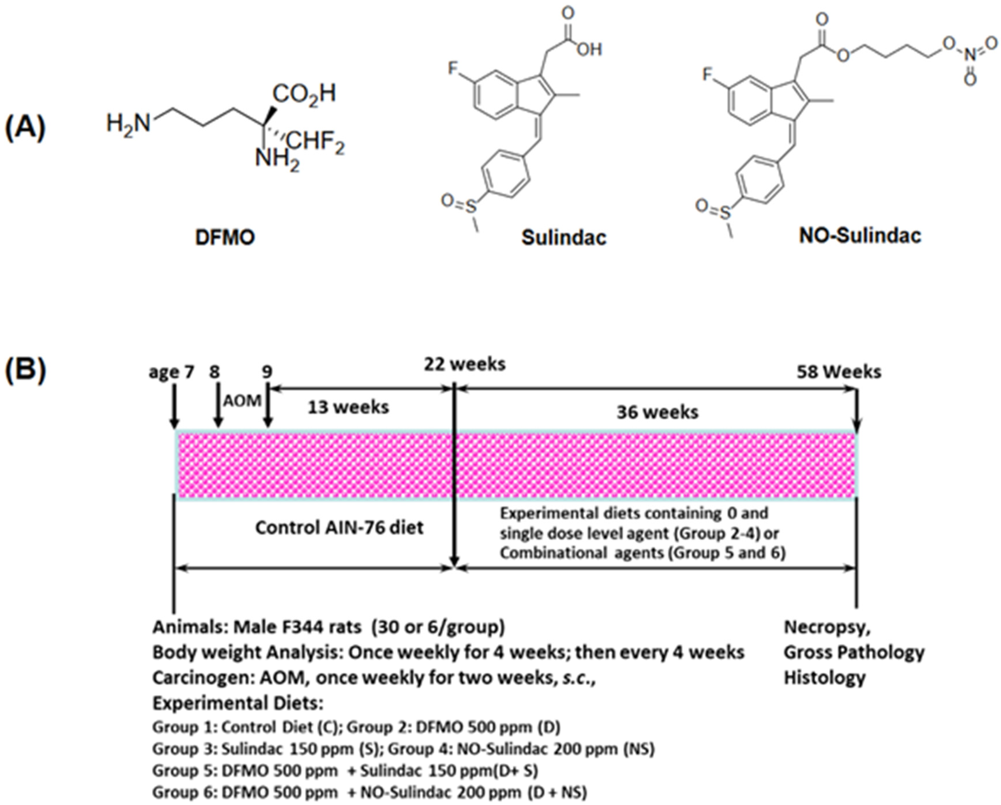 Chemoprevention of Colon Cancer by DFMO, Sulindac, and NO-Sulindac ...