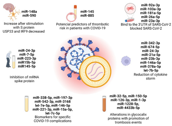 MicroRNAs Derived from Extracellular Vesicles: Keys to Understanding ...