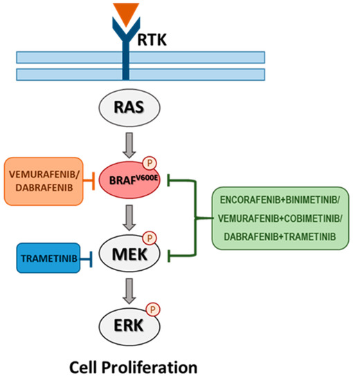 BRAF Mutations in Melanoma: Biological Aspects, Therapeutic ...